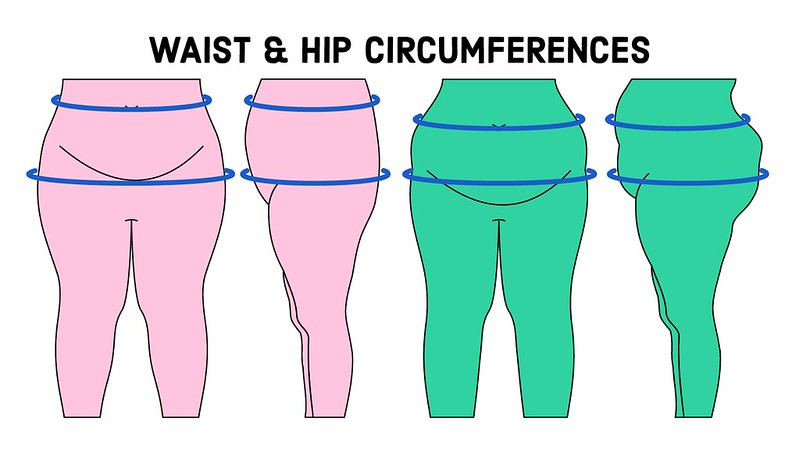 A Guide to Measuring Your Full Hip Circumference: The Flaw of Averages ...