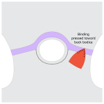 Improving Your T-Shirt: Step-by-Step Sewing and Neckline Binding ...